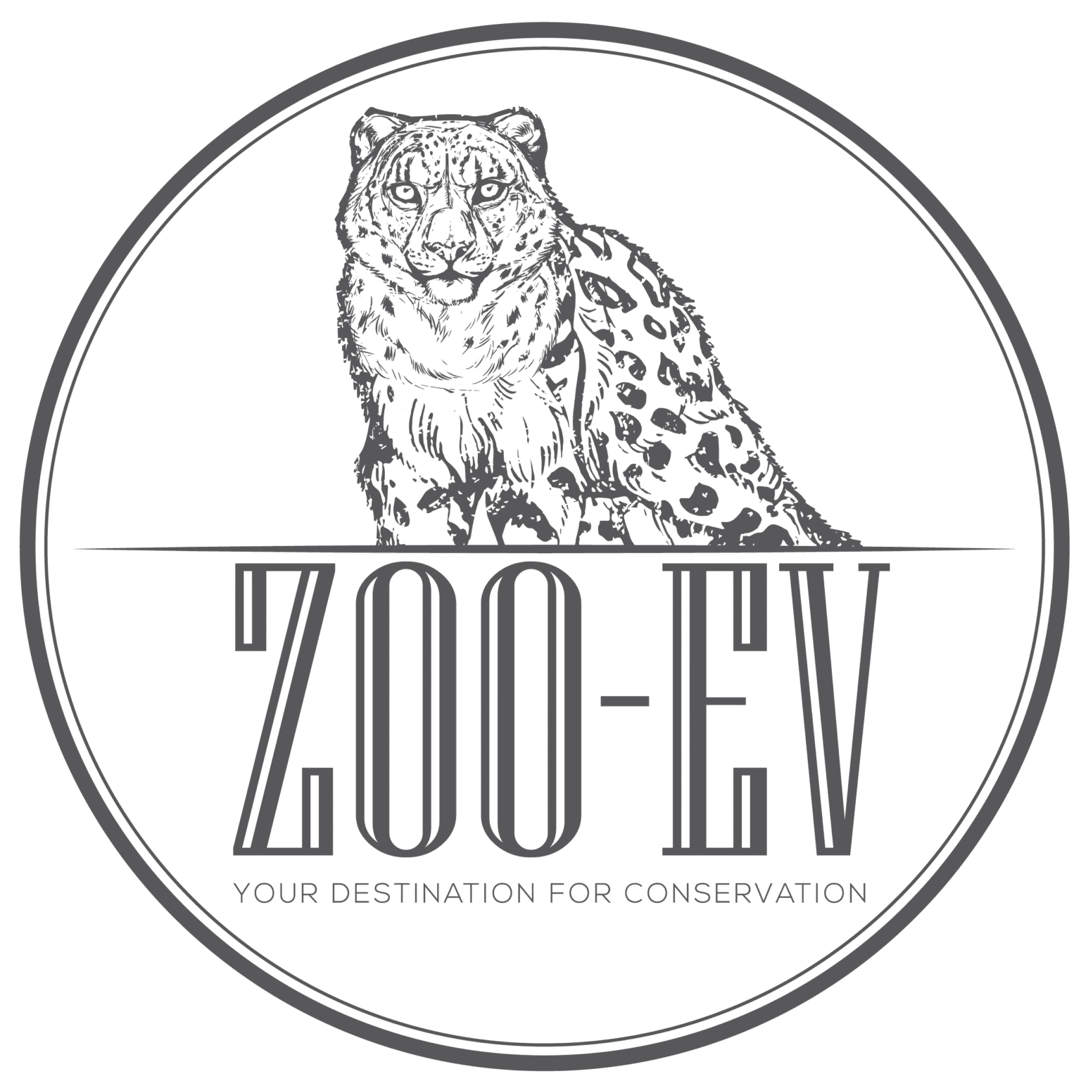 Jungle Cat – Zoo-EV